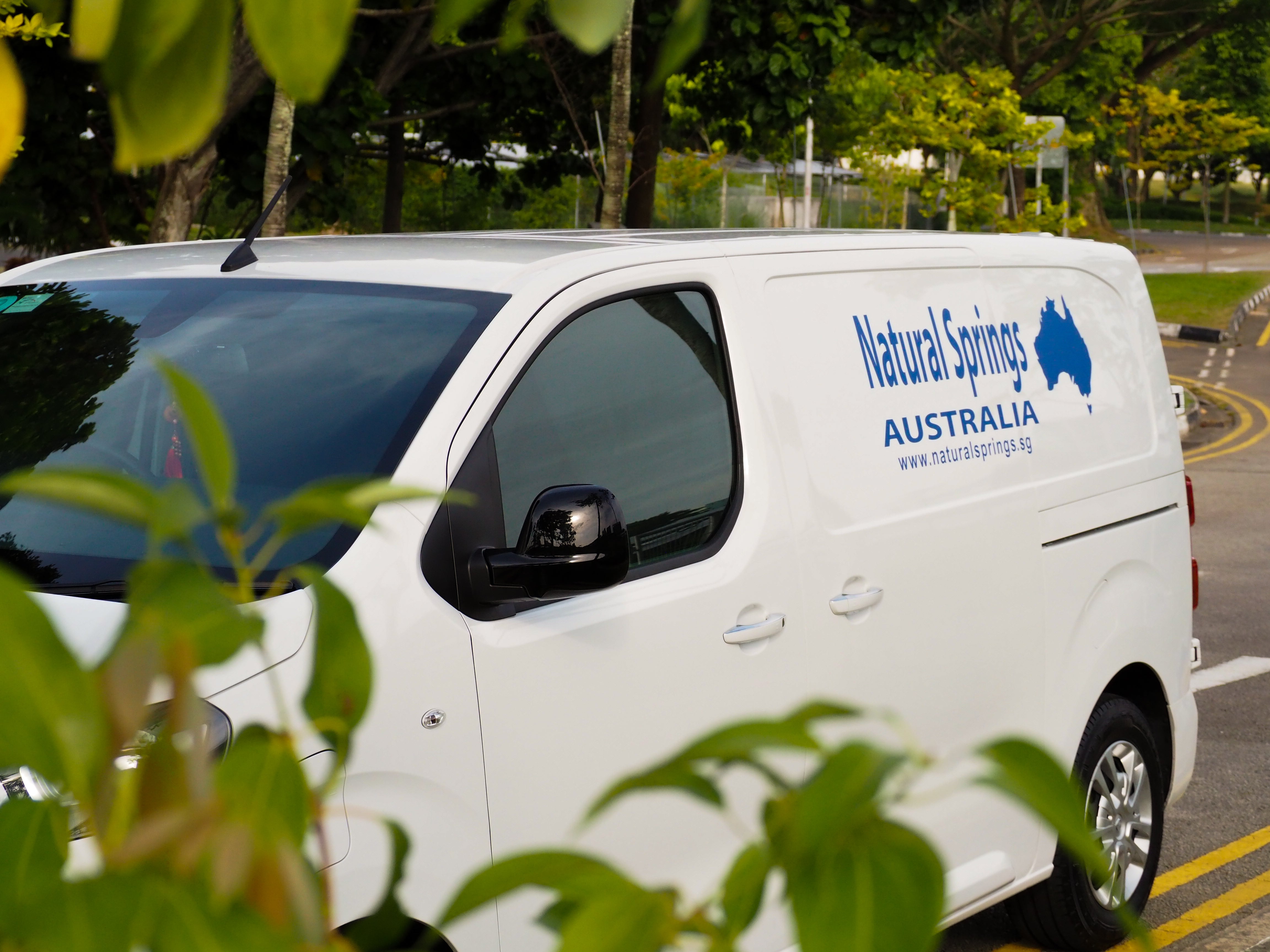 Embracing the Green Wave: Our First Electric Van | Natural Springs ...
